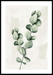 Eucalyptus Watercolor Poster | Botaniskt | Gallerix.se