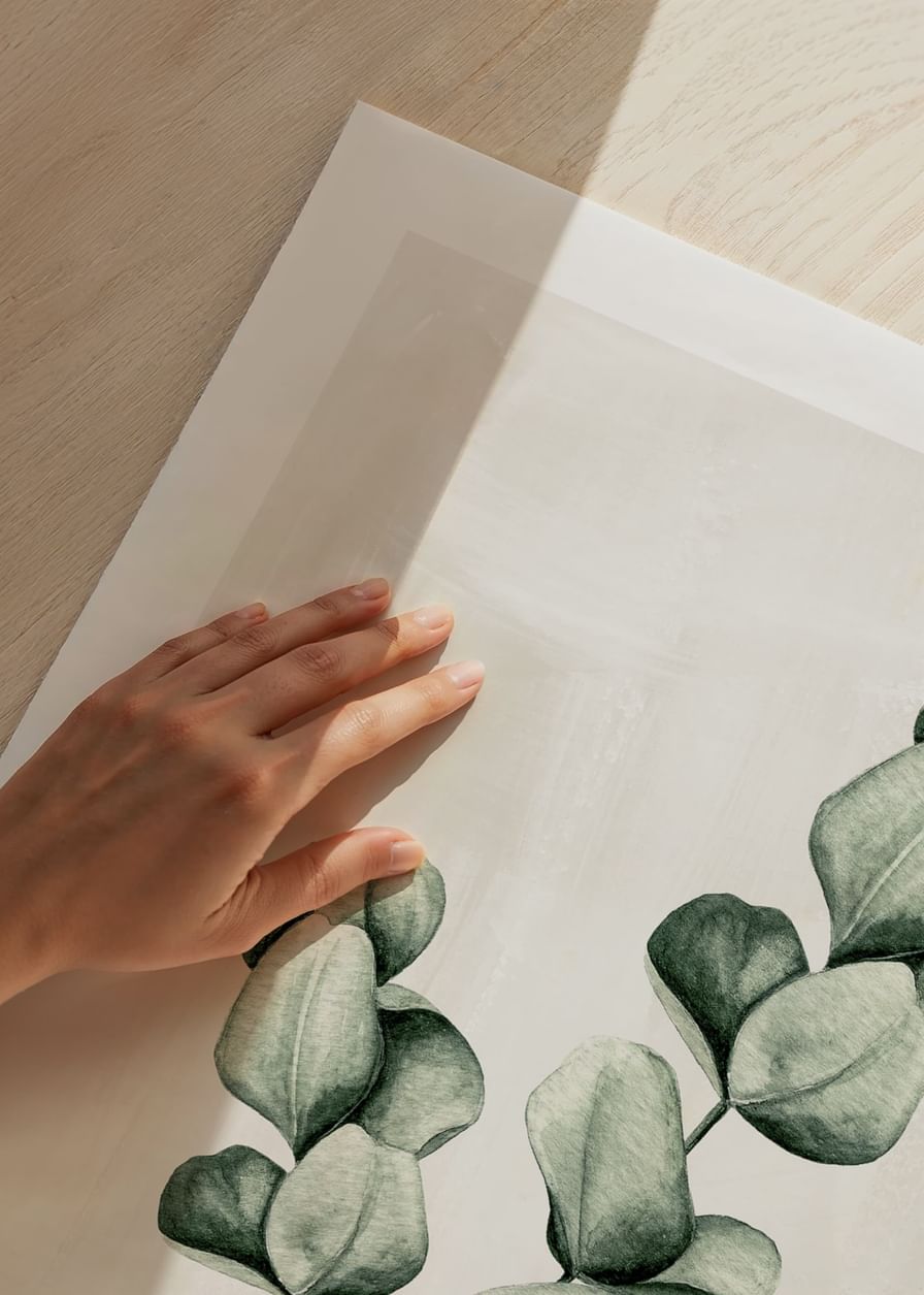 Eucalyptus Watercolor Poster | | Gallerix.se