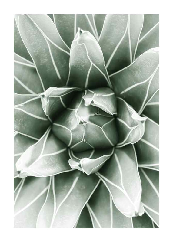 Bright Green Botanical No1 Poster | Pflanzen | Gallerix.de