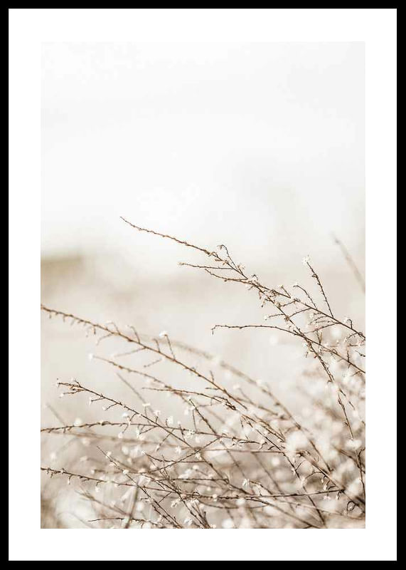 Branches Poster | Natur | Gallerix.se