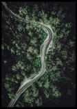 Forest Road Poster | Naturbilder | Gallerix.de