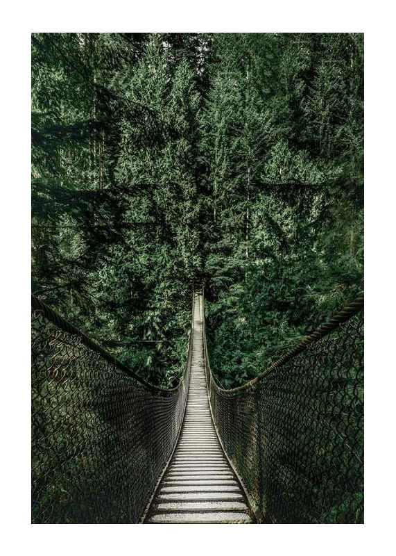 Escape Into The Forest Poster | Naturbilder | Gallerix.de
