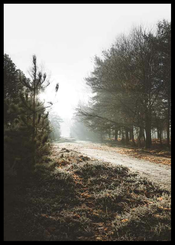 New Forest Poster | Naturbilder | Gallerix.de