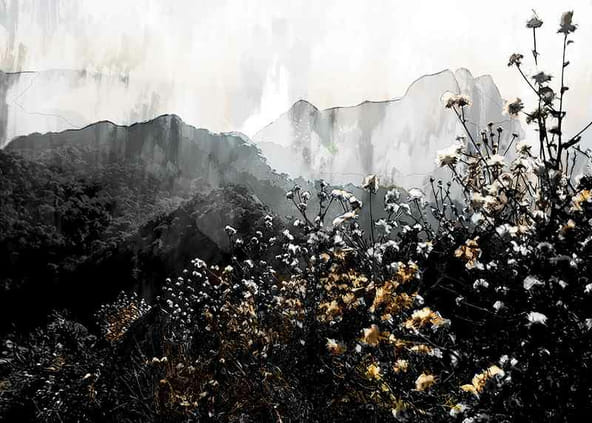 Painted Nature Poster | Pflanzen | Gallerix.de