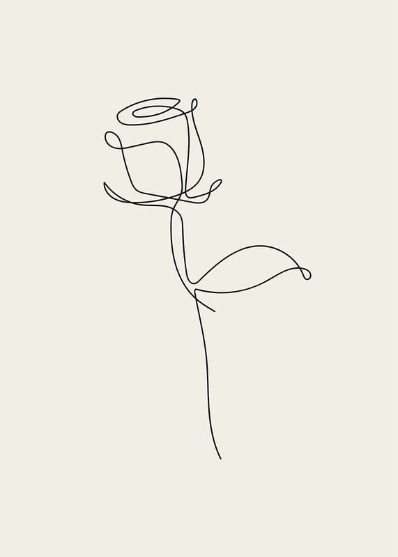 Line Art Rose Poster | Botaniskt | Gallerix.se