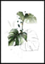Watercolor Botanical No2 Affiche | Fleurs et plantes | Gallerix.fr