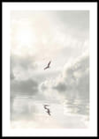 Flying Bird Poster | Djur | Gallerix.se
