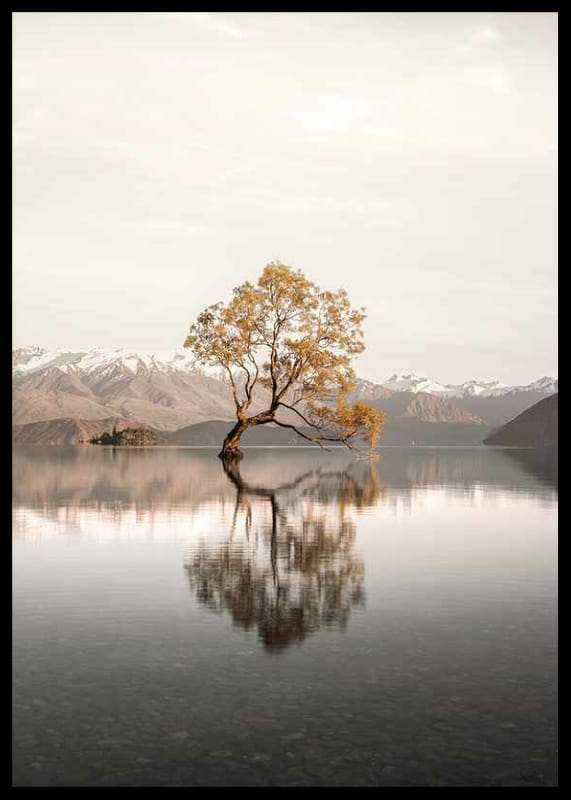 The Lonely Tree Poster | Natur | Gallerix.se
