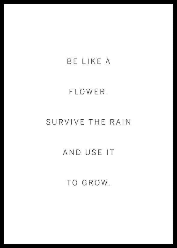 Like A Flower Poster | Texttavlor | Gallerix.se
