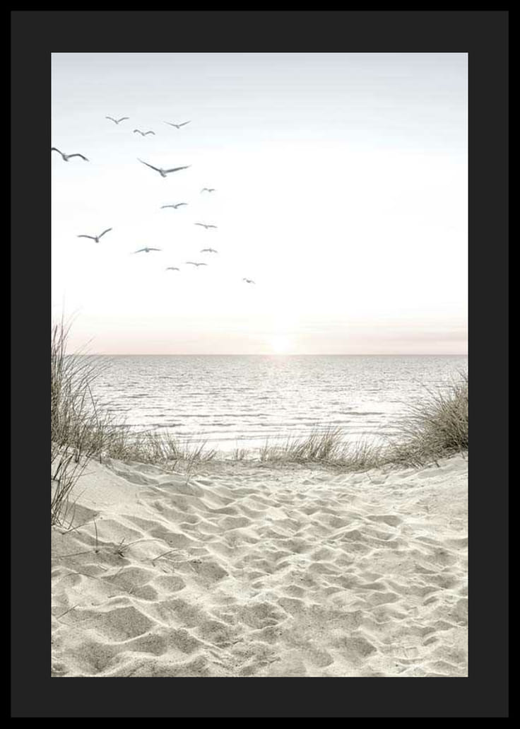 Seagulls Sandy Beach Poster | Naturbilder | Gallerix.de
