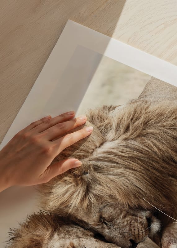 Lion Brothers Poster | Tiere | Gallerix.de