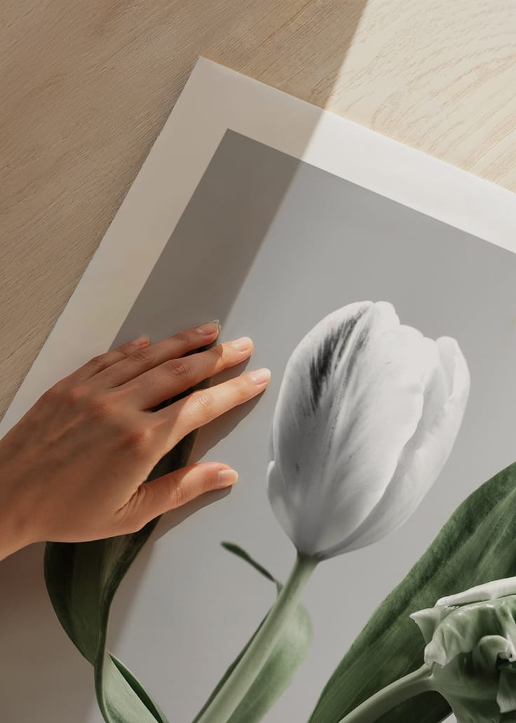 Tulip Flower Poster | Pflanzen | Gallerix.de