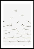 Freedom Concept Poster | Line art | Gallerix.se