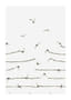 Freedom Concept Poster | Line art | Gallerix.se