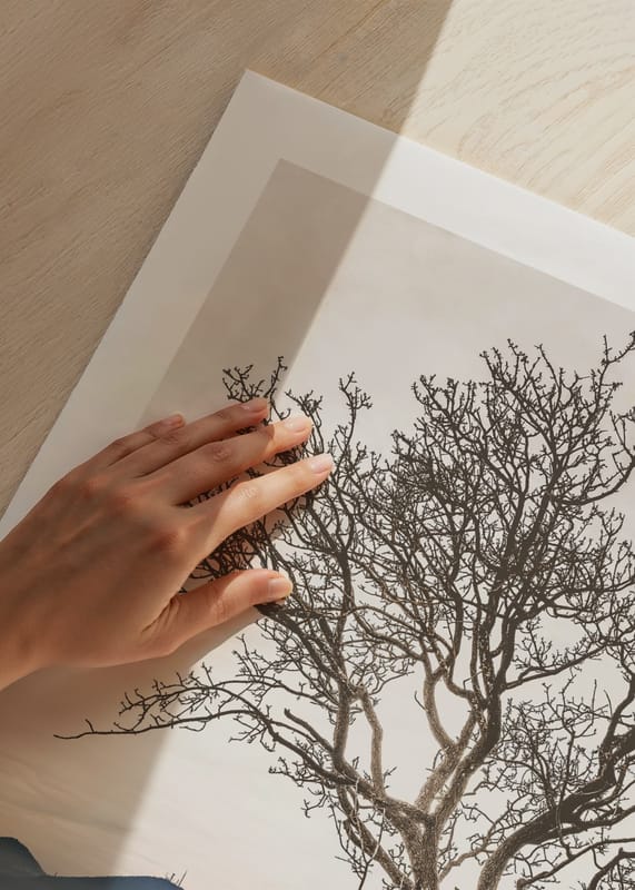 Lonely Tree Against Sky Poster | Natur | Gallerix.se