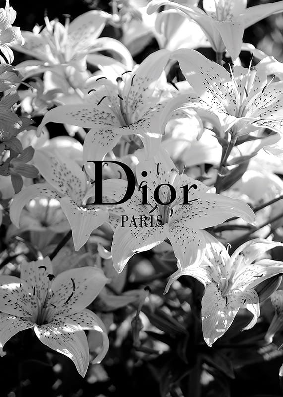 Dior Paris Affiche | Mode | Gallerix.fr
