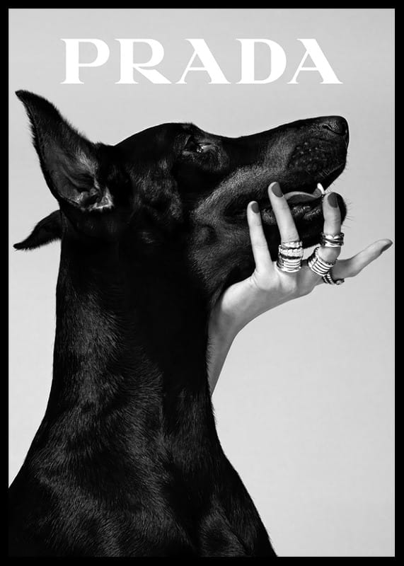 Prada Fashion Poster | Moda | Gallerix.pt