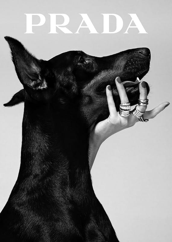 Prada Fashion Poster | Mode | Gallerix.se
