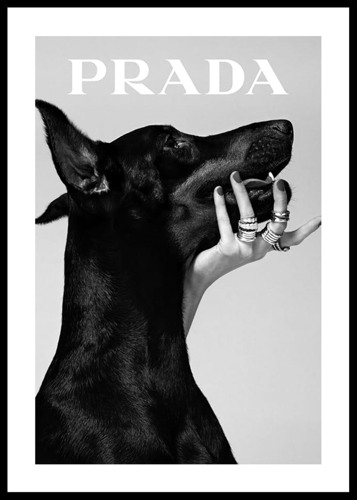 Prada Fashion Poster | Mode | Gallerix.de