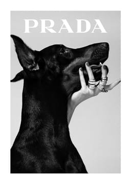 Prada Fashion Poster | Mode | Gallerix.se