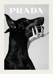 Prada Fashion Poster | Mode | Gallerix.de