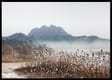 Pathway Near The River Poster | Natur | Gallerix.se