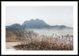 Pathway Near The River Poster | Natur | Gallerix.se