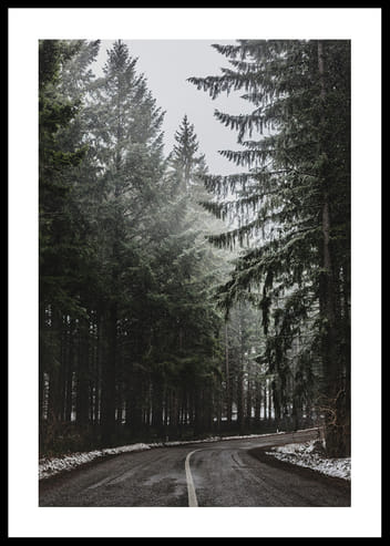 Deep Forest Road Poster | Natur | Gallerix.se