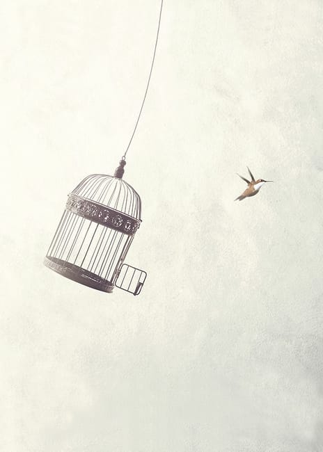 Flying Towards Freedom Poster | Konceptuellt & Surrealistiskt | Gallerix.se