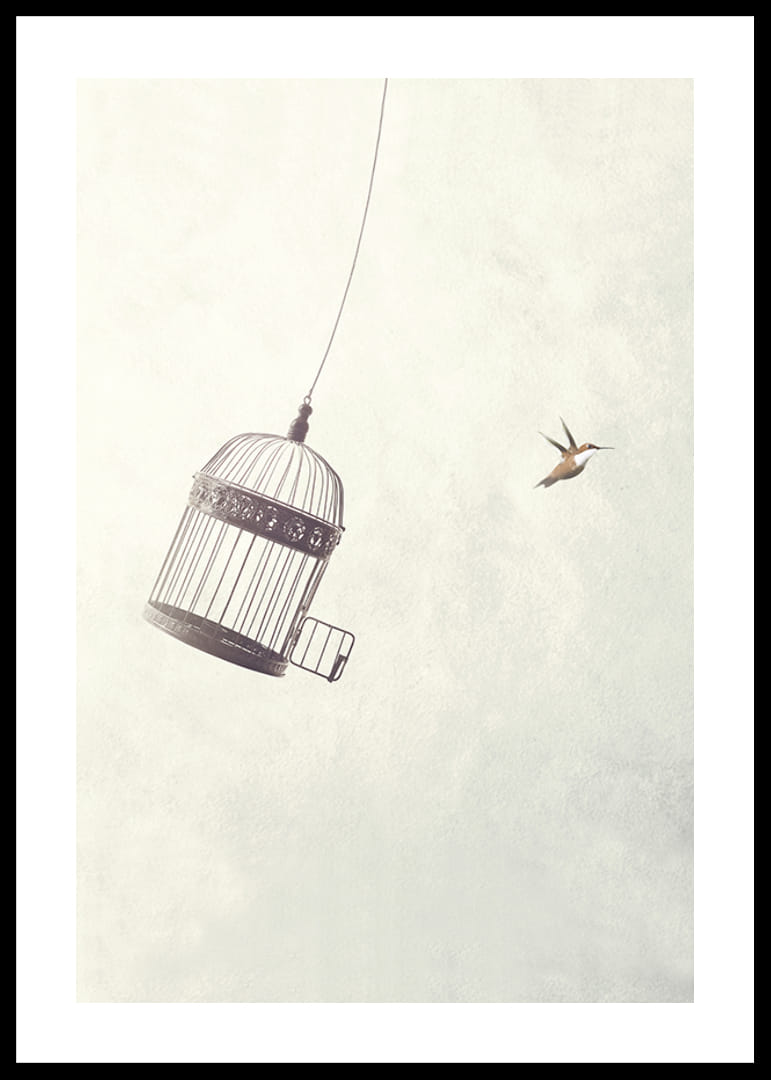 Flying Towards Freedom Poster | Konceptuellt & Surrealistiskt | Gallerix.se