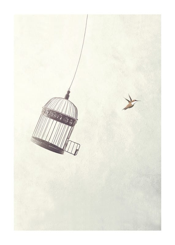 Flying Towards Freedom Plakat | Konceptuelt og surrealistisk | Gallerix ...