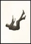Free Falling Poster | Konzeptionell und Surreal | Gallerix.de