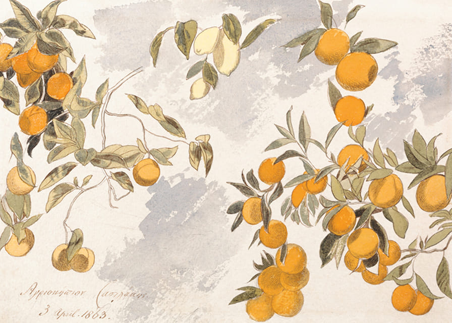 Fruit Trees By Edward Lear Poster | Berömda konstnärer | Gallerix.se
