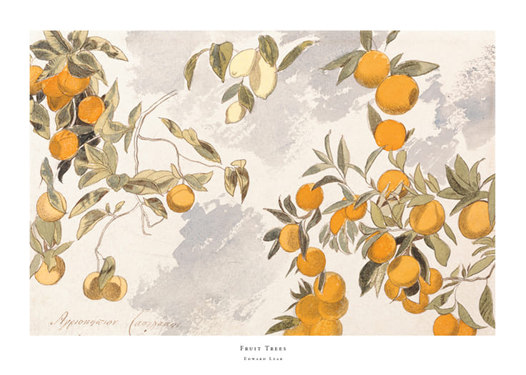 Fruit Trees By Edward Lear Poster | Berömda konstnärer | Gallerix.se