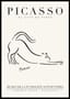 El Gato Poster | Pablo Picasso | Gallerix.se