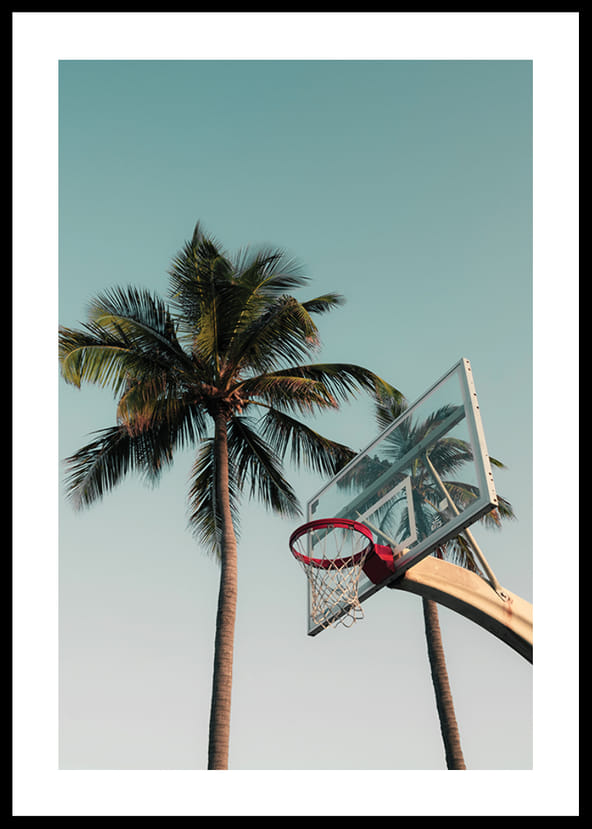 Basketball Hoop Poster | Fotokonst | Gallerix.se