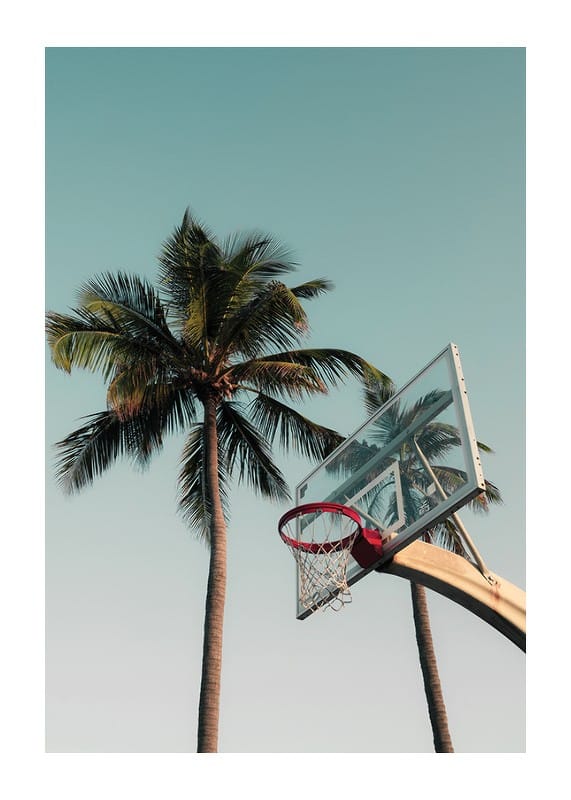 Basketball Hoop Poster | Fotokonst | Gallerix.se