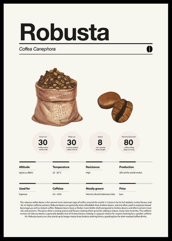 Robusta Coffee Beans Poster | Texttavlor | Gallerix.se