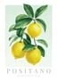 Positano Amalfi Lemons Poster | Küchenposter | Gallerix.de