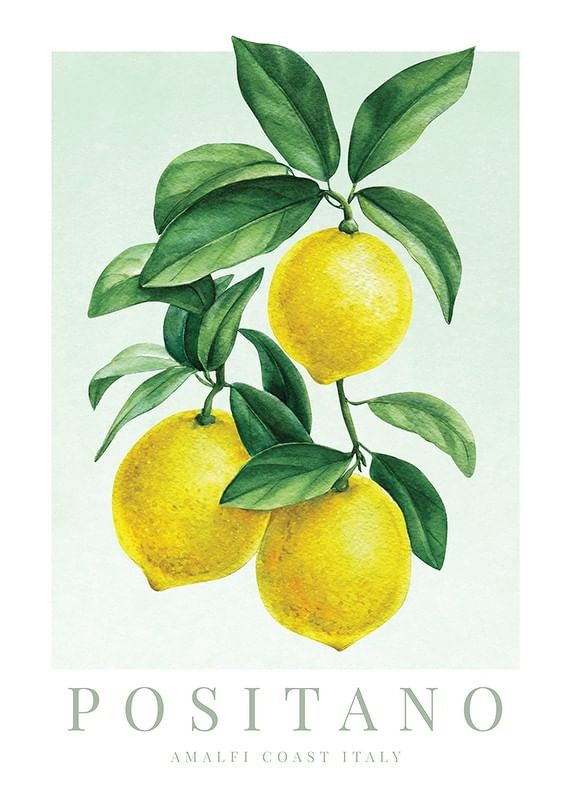 Positano Amalfi Lemons Poster | | Gallerix.se