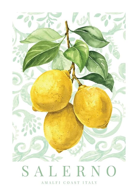 Salerno Amalfi Lemons Juliste | | Gallerix.fi