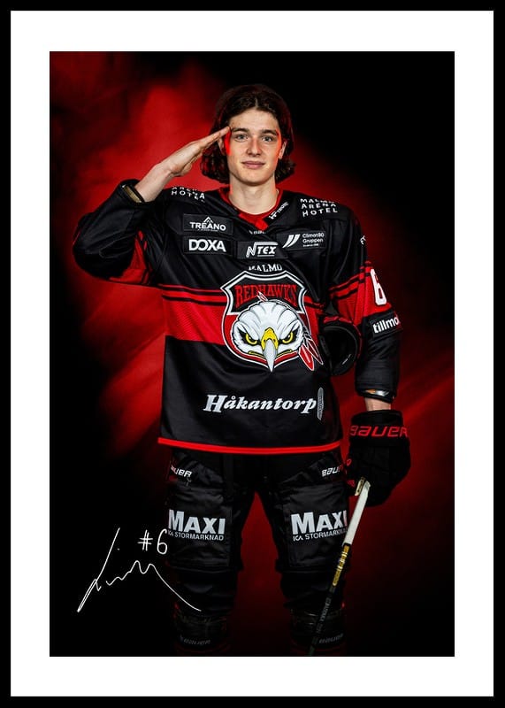 Dominik Badinka #6 Malmö Redhaws No2 2024/2025 Poster | Malmö Redhawks ...