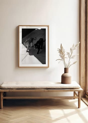 Plakater og Posters | Køb Flotte Plakater hos Gallerix