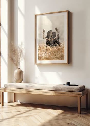 Rudens bildes | Plakāti ar rudens motīviem | Gallerix.lv