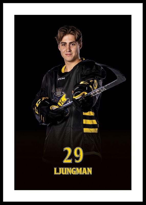 Daniel Ljungman #29 AIK Hockey 2024/2025 Poster | AIK Hockey | Gallerix.se