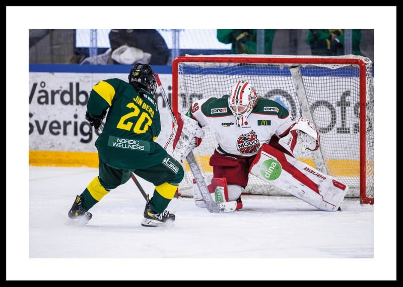 Friläge IF Björklöven Poster | Björklöven | Gallerix.se